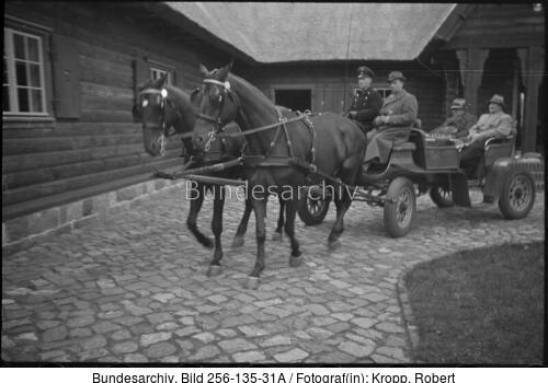 Bundesarchiv - Bilddatenbank